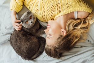 Zašto mačke vole da spavaju na ljudima?